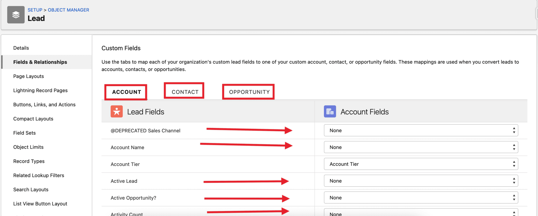 FAQ: Salesforce Lead Conversion and Field Mapping - Parquet Development